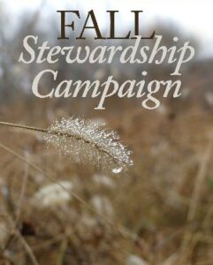 Stewardship Campaign 2025